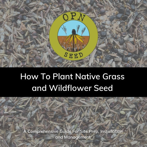 Native Prairie Grass Seed Mixes and Native Wildflower Seed Mixes – OPN Seed